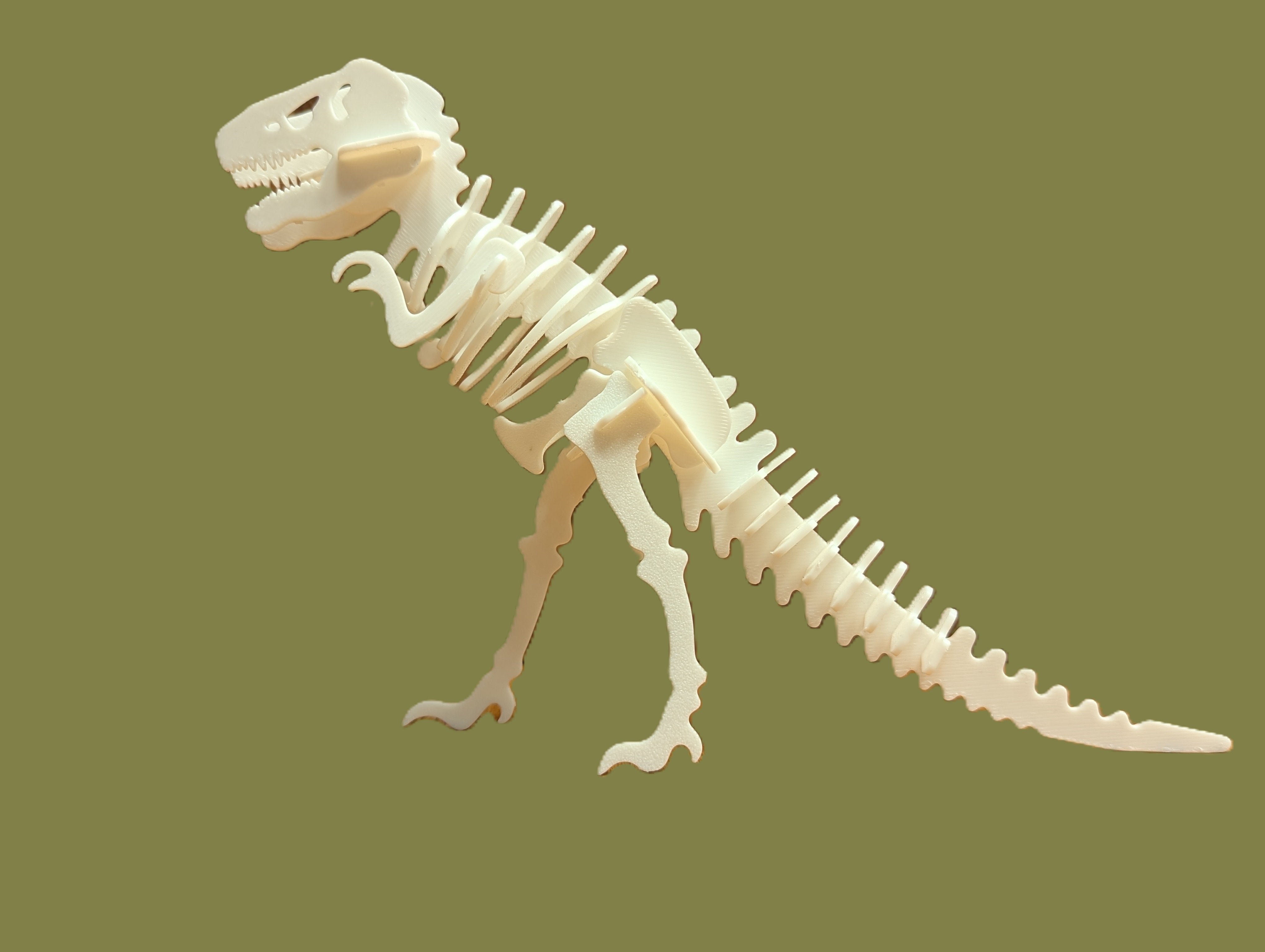 T-Rex Skeleton Buildable Model – Riverstone 3D Printing